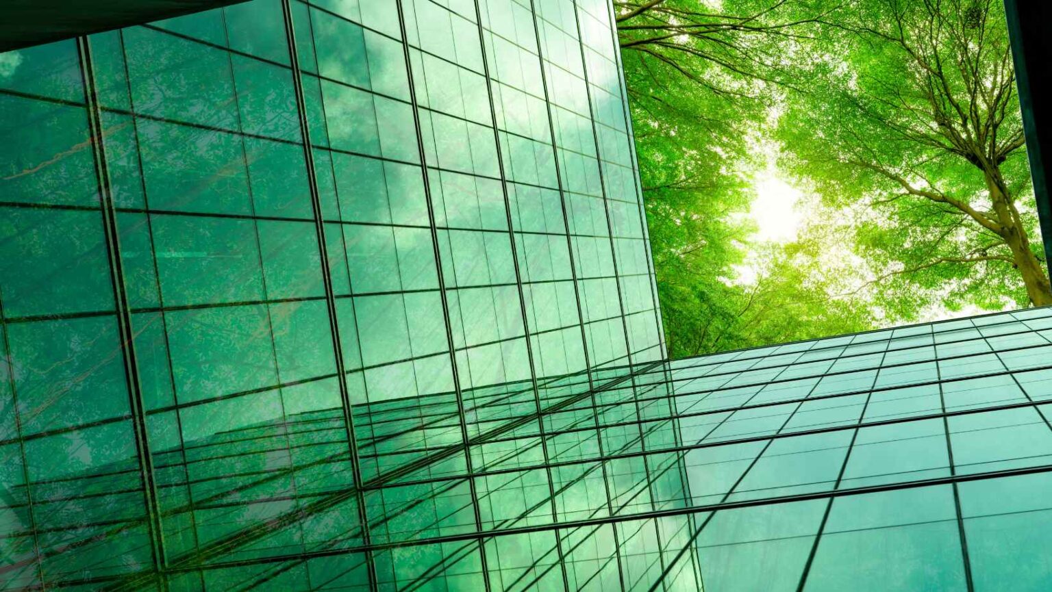 Millennial & Gen Z Home Buying: A New Home Builder’s Guide – Presite