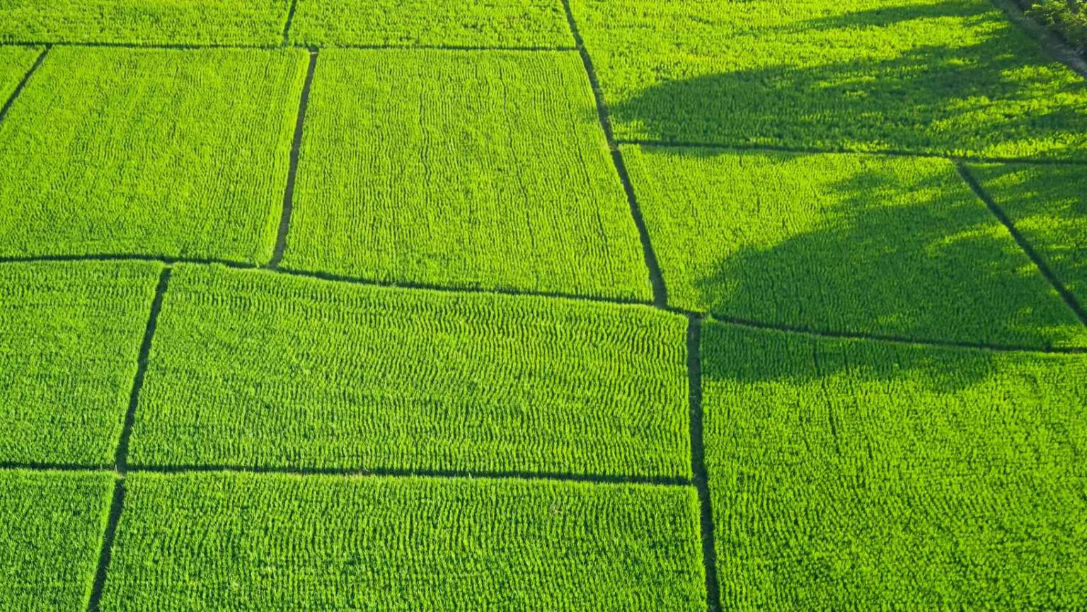 Plot Plans 101: The Key Steps to Craft Your Property Blueprint – Presite