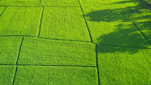 Plot Plans 101: The Key Steps to Craft Your Property Blueprint – Presite